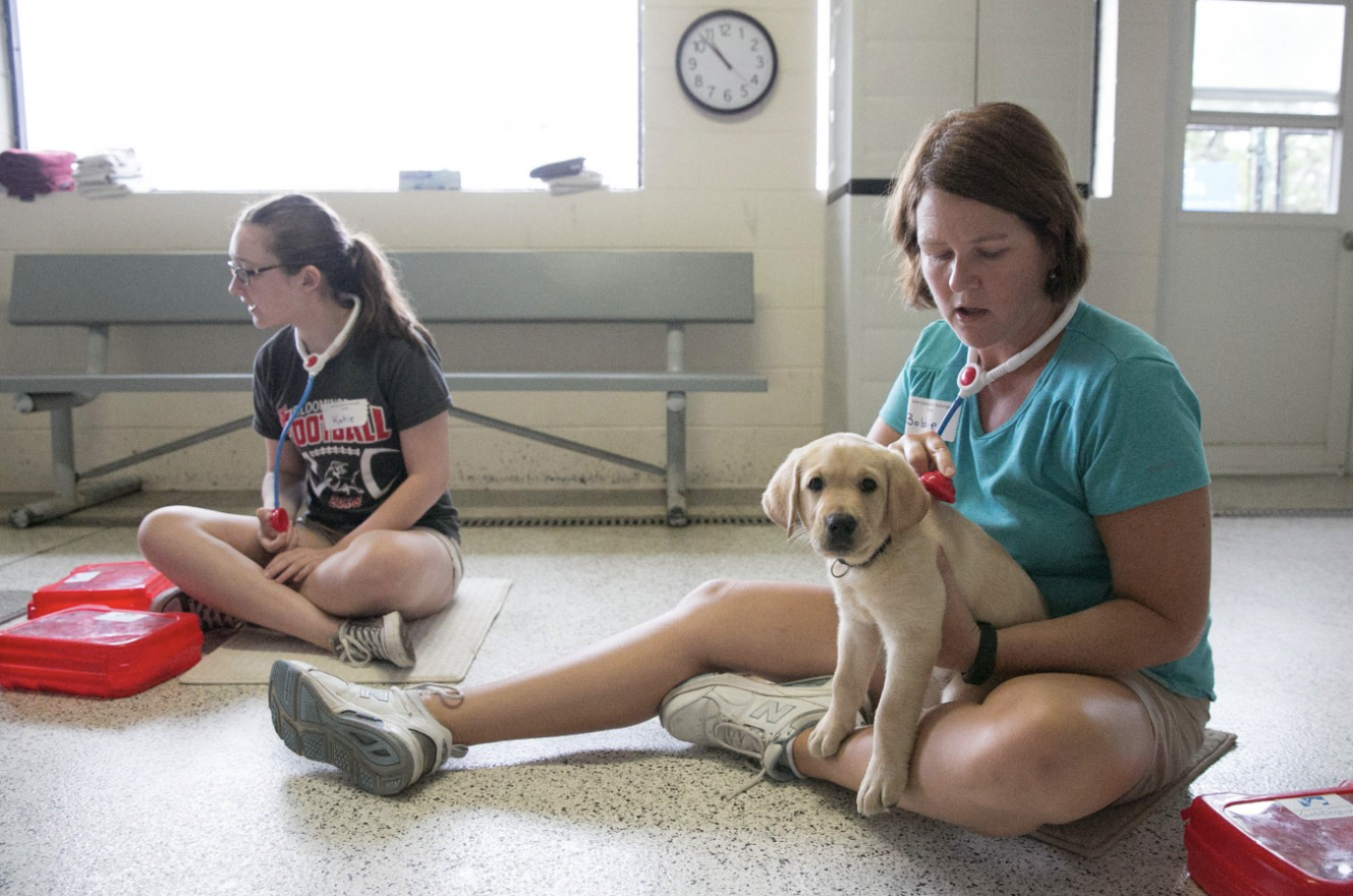Puppy Education: Let the Learning Begin! - Dogs Inc
