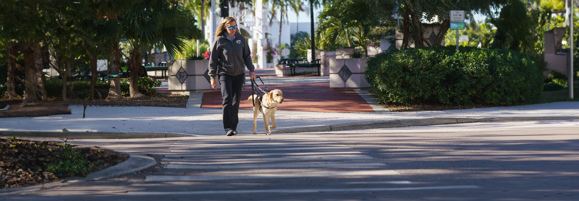 Respect the Harness: Guide Dog Etiquette