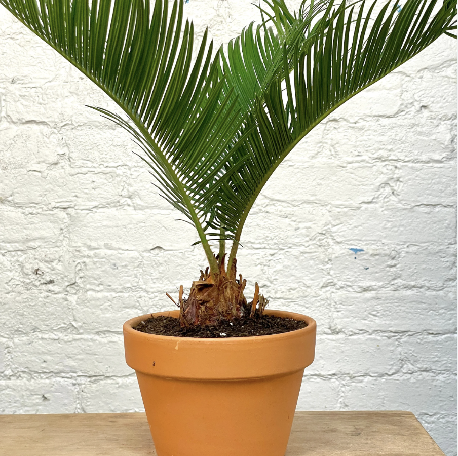 meito-123のブログ