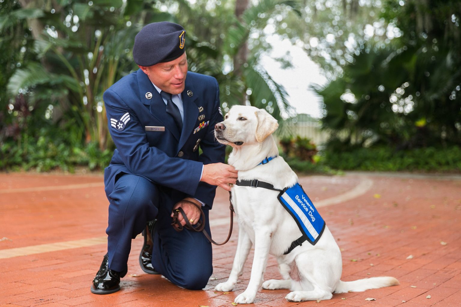 Service Dogs for Veterans - Dogs Inc