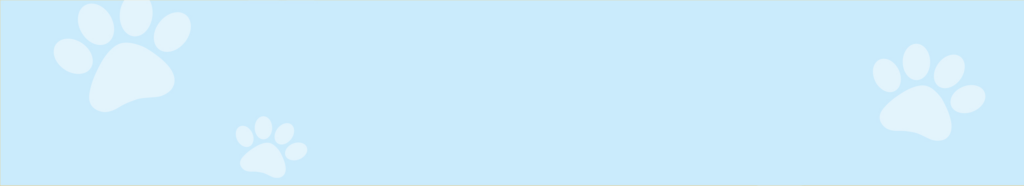 Visit our Campus - Dogs Inc