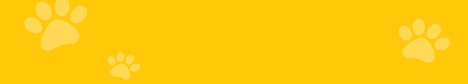 Get Involved - Dogs Inc