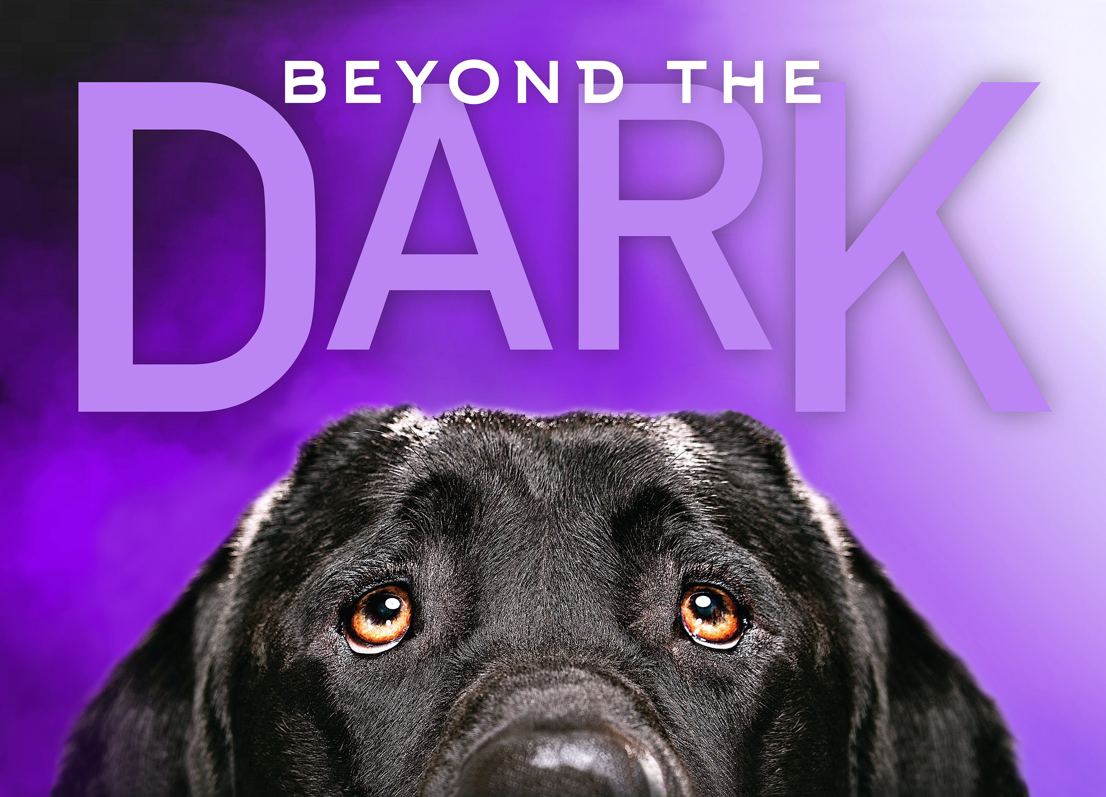 Visit our Campus - Dogs Inc