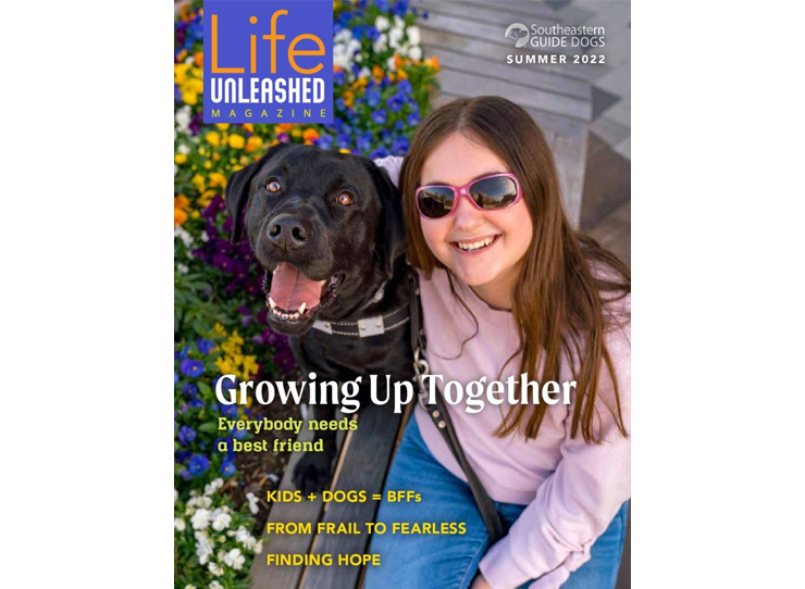 Life Unleashed Library Archive - Dogs Inc