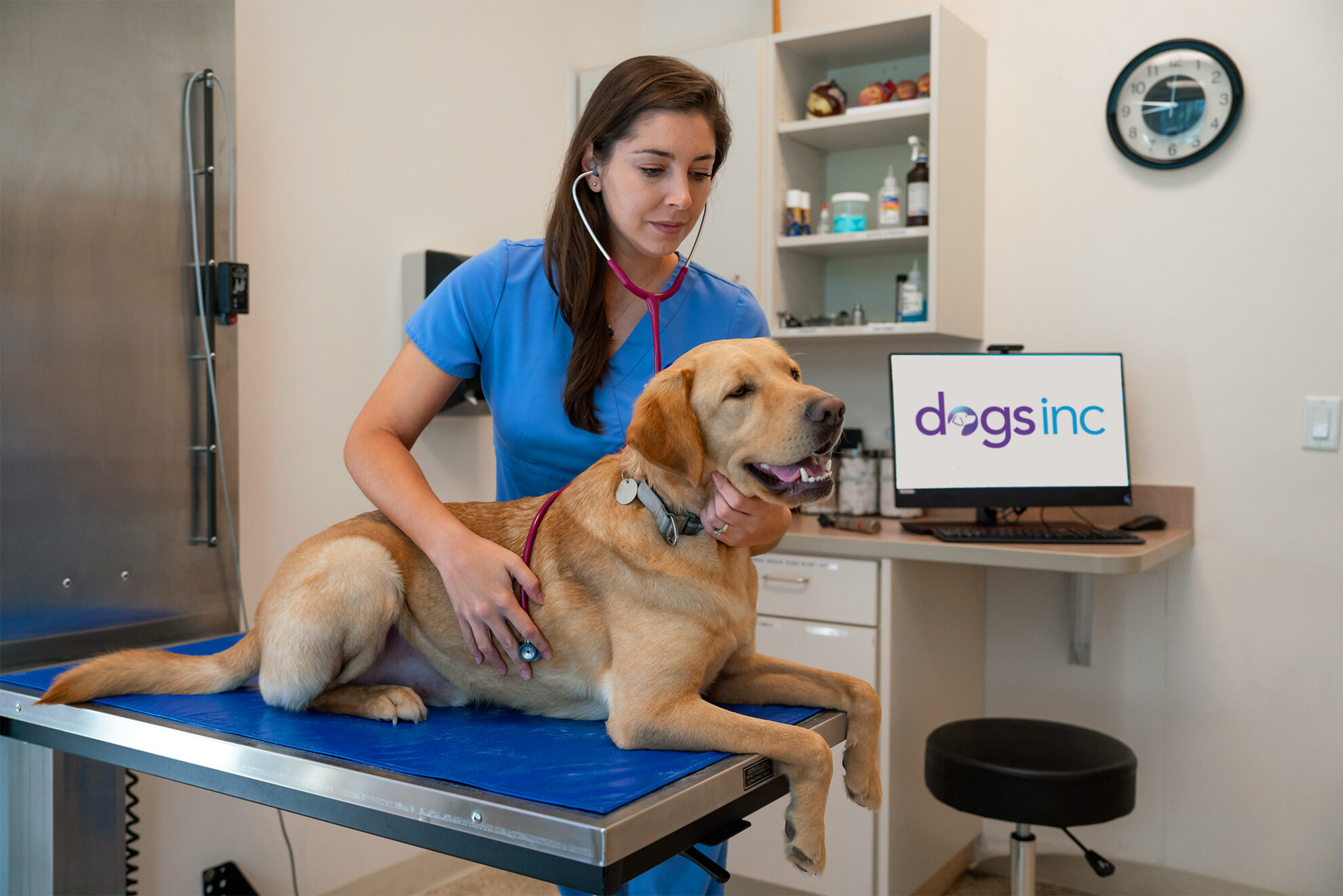 Get Involved - Dogs Inc