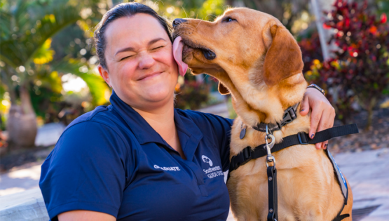 Service Dog Programs - Dogs Inc