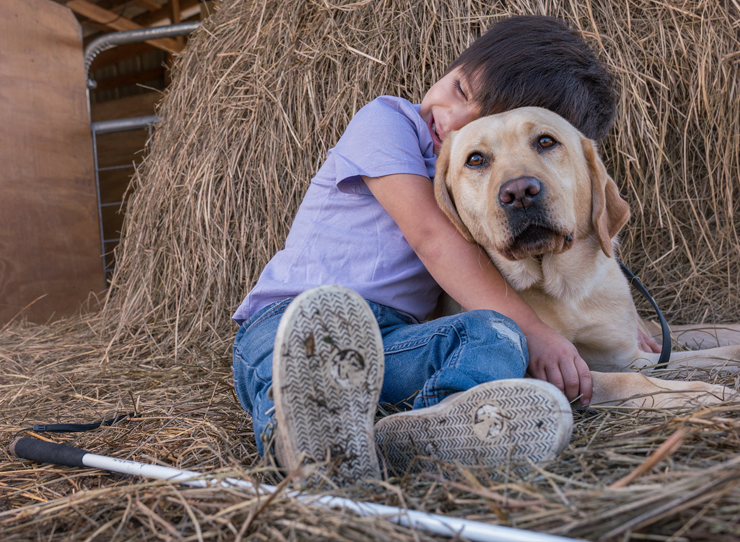 Skilled Companion Dog Program - Dogs Inc