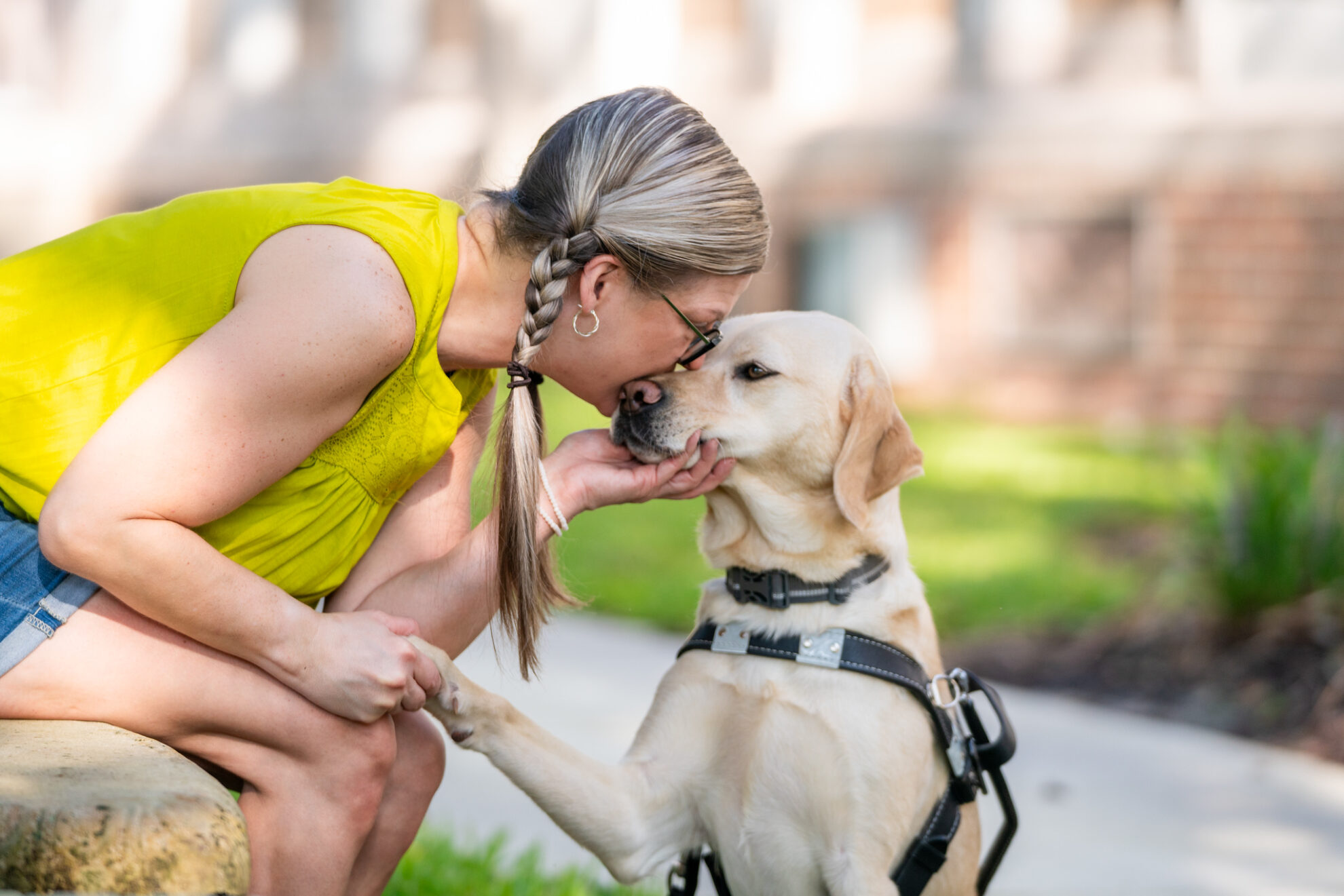 A New Chapter - Dogs Inc