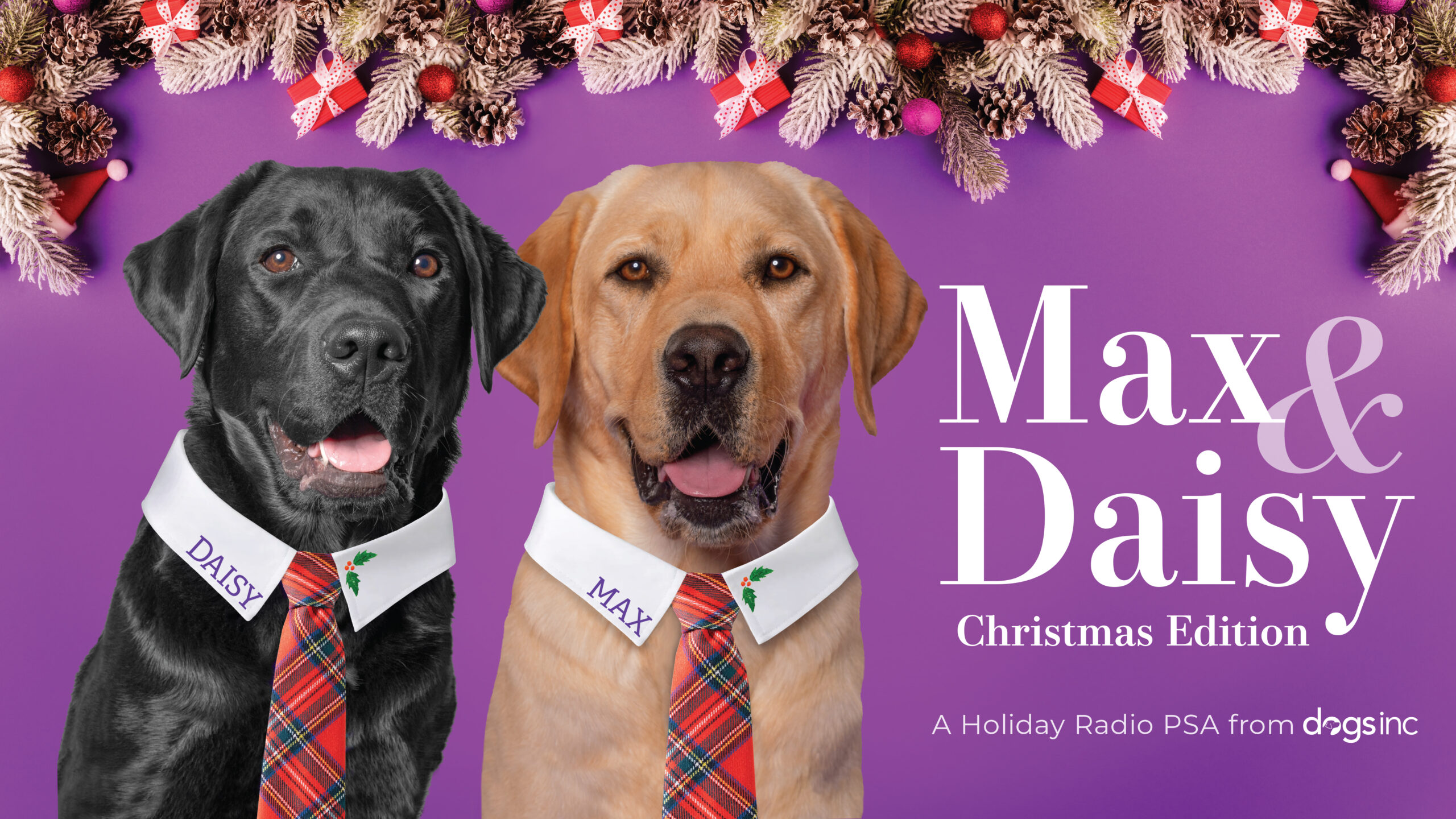 Max and Daisy Christmas Edition - Dogs Inc