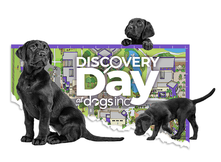 Discovery Day at Dogs Inc - Dogs Inc