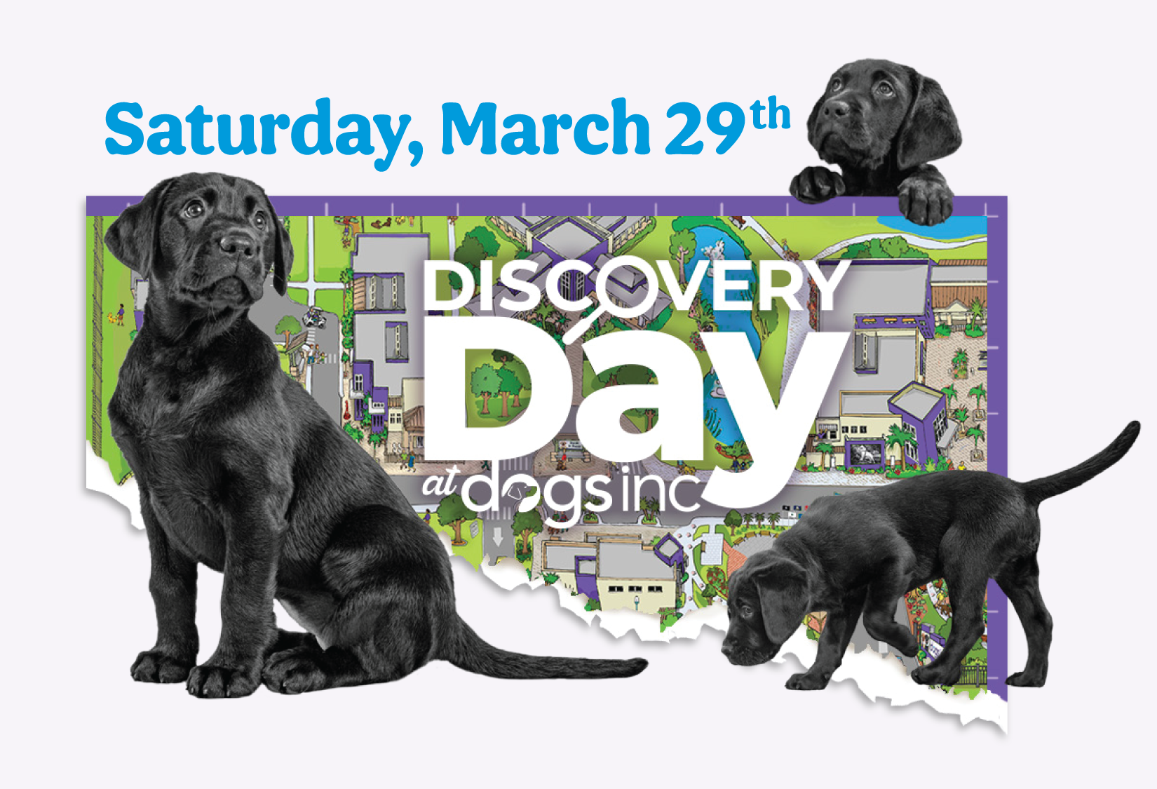 Discovery Day at Dogs Inc - Dogs Inc