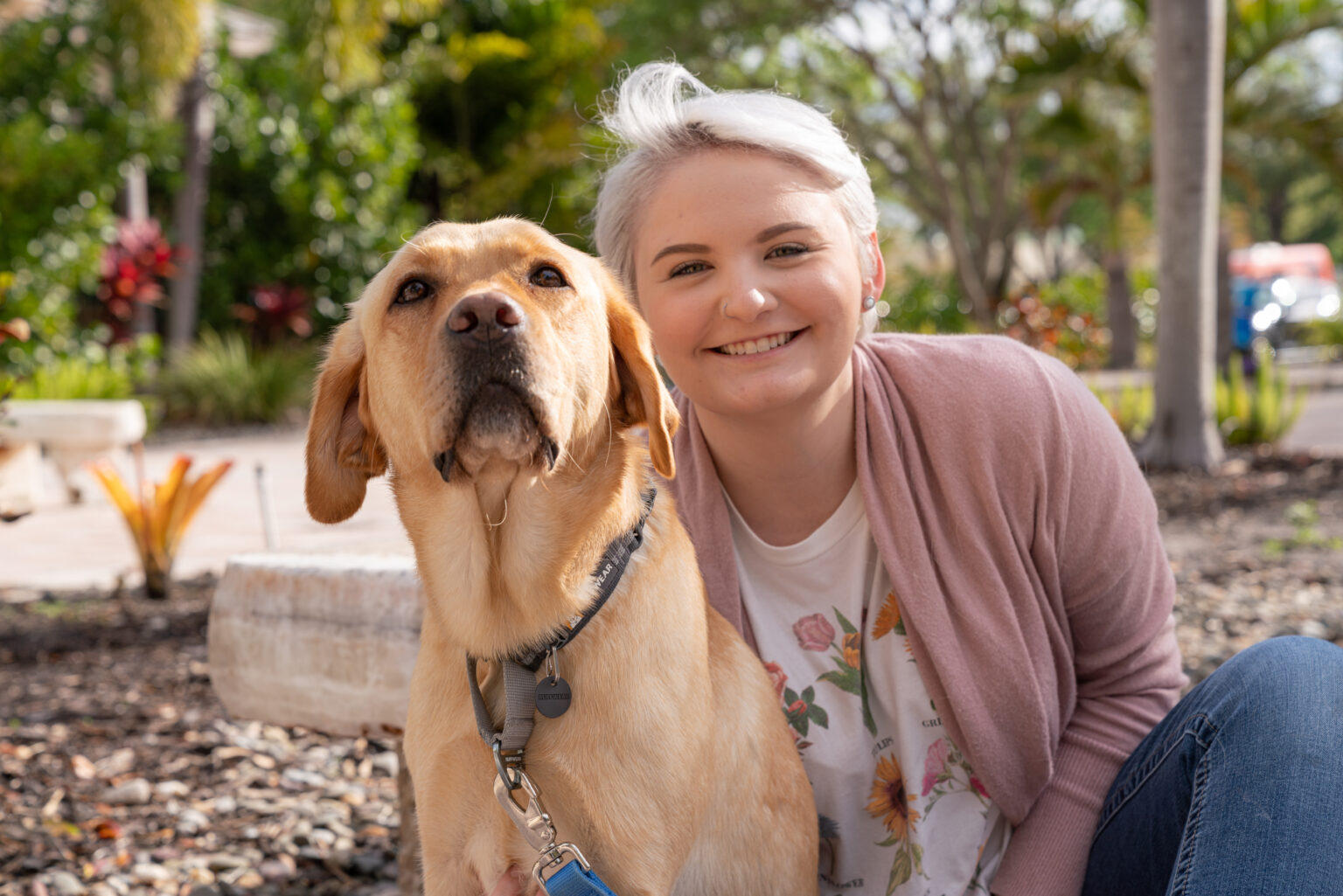 Puppy Volunteer Program - Dogs Inc