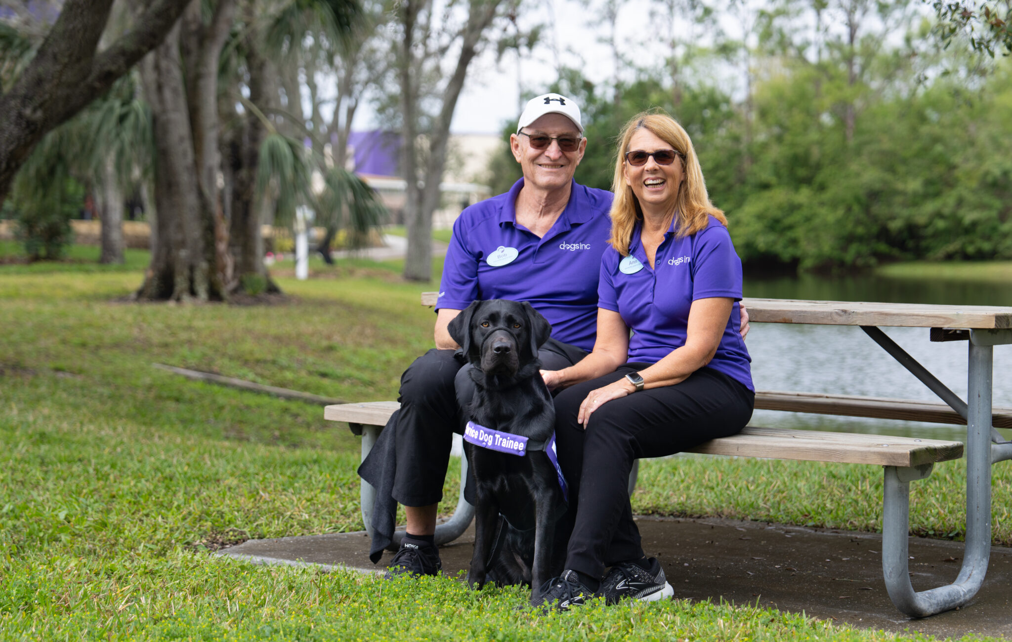 Puppy Volunteer Program - Dogs Inc