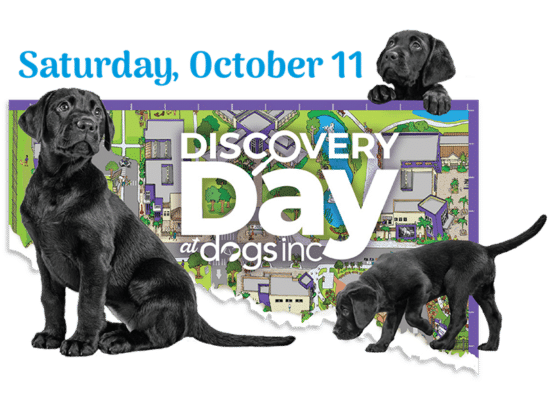 Visit our Campus - Dogs Inc