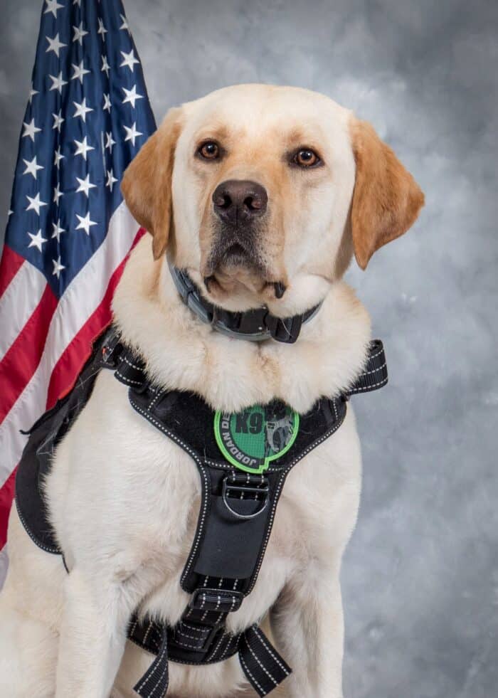 Law Enforcement Dog Harrison: Evidence Tracker and Comfort to the ...